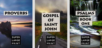 Super Large Print Bible - Super Large Print